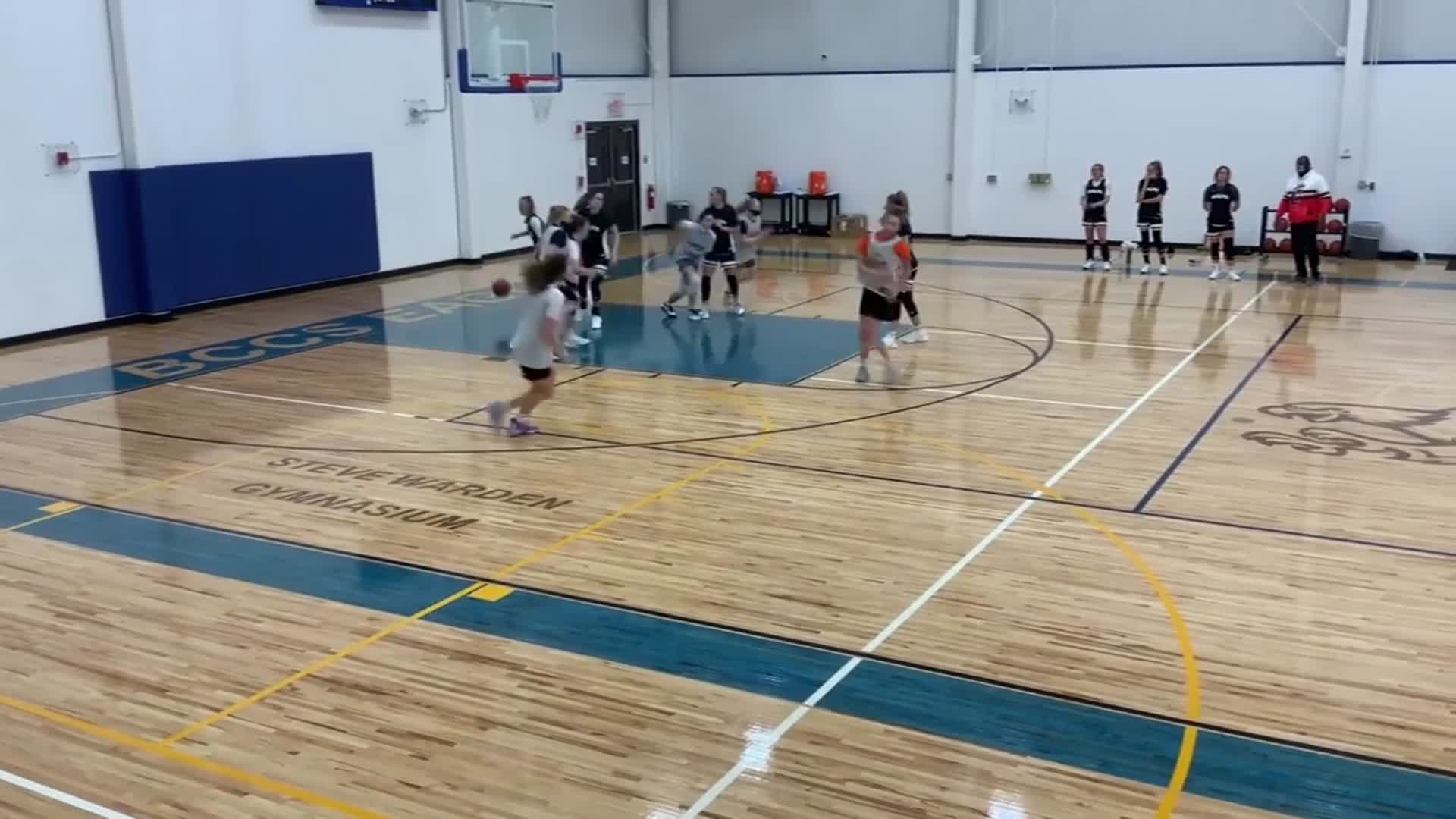 3D Elite - Kelly Cleaver highlights - Hudl