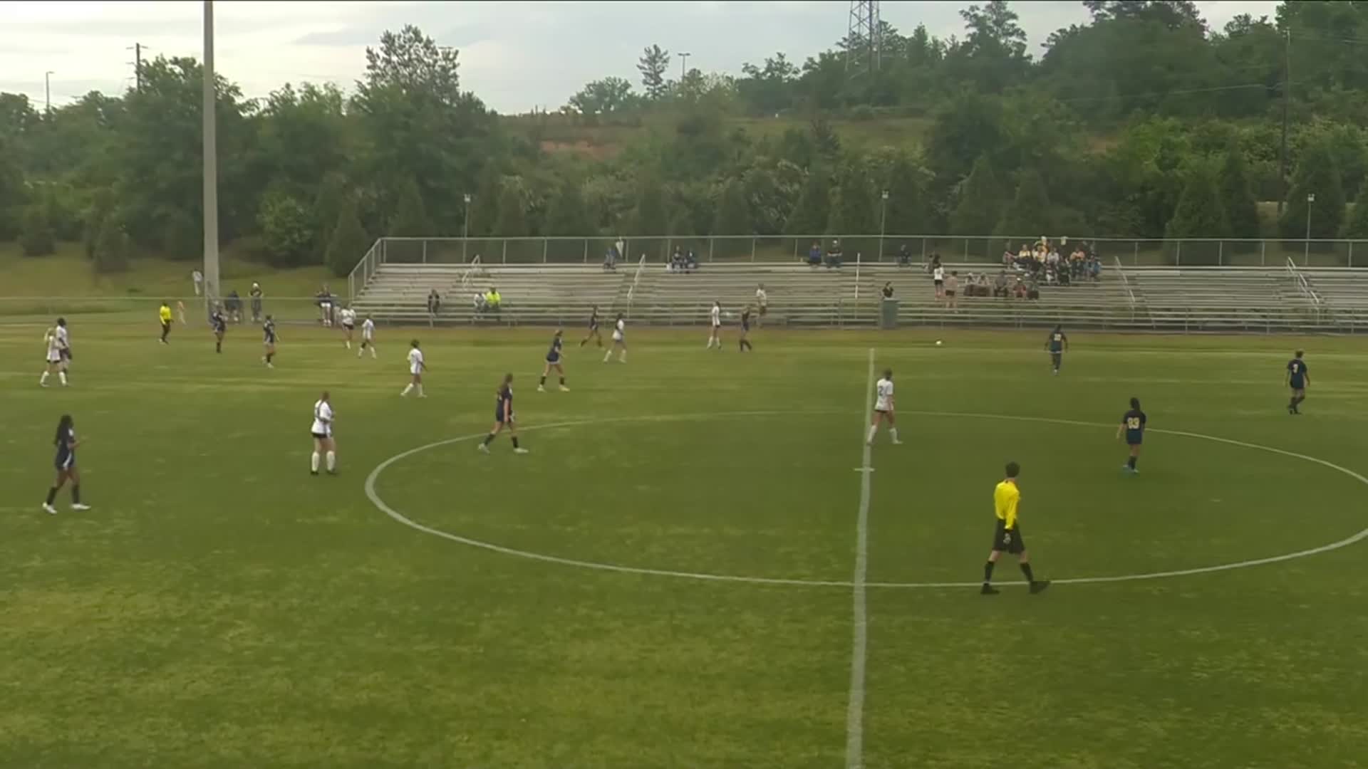 Laura Lillie - Piedmont - Jr. - Mount de Sales highlights - Hudl