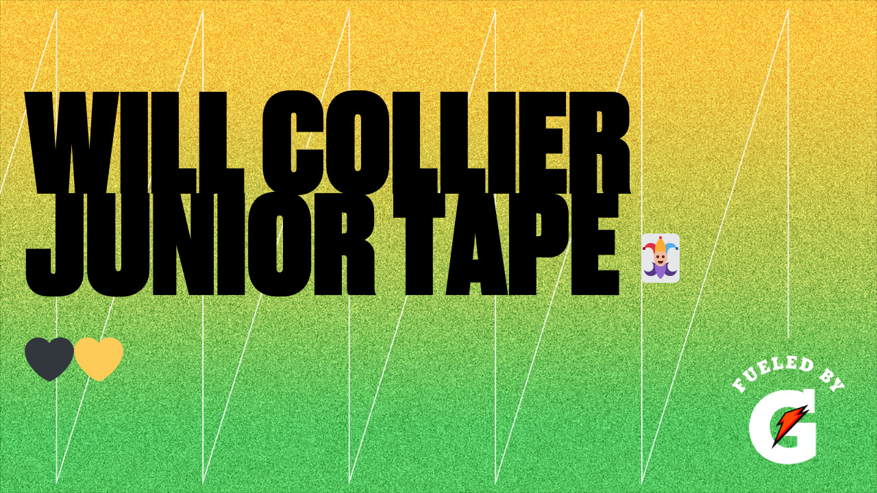 Will Collier Junior Tape - Will Collier highlights - Hudl